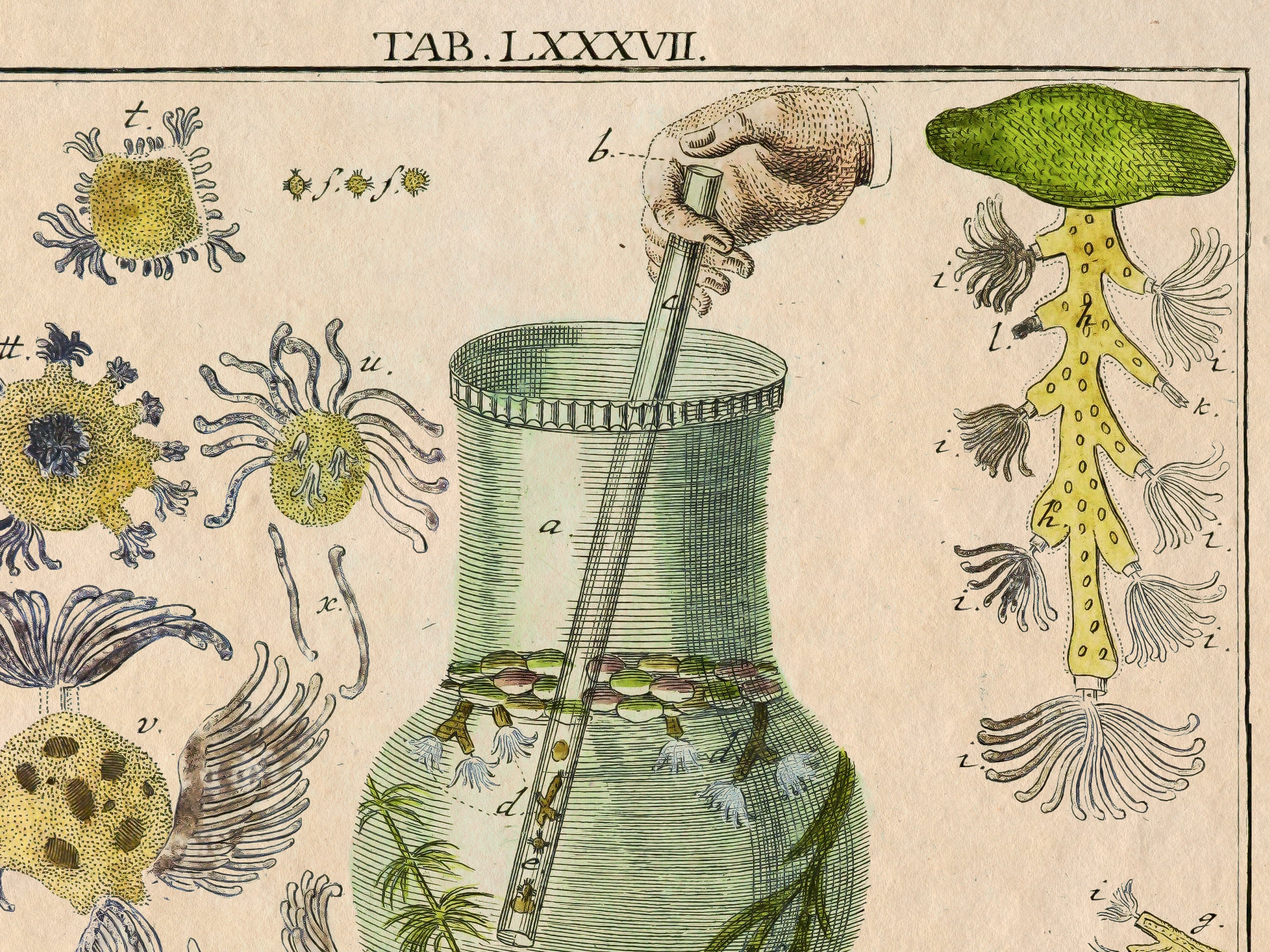 Antique Science Chart Gallery Wall Set of 2 Vintage Printable - Etsy