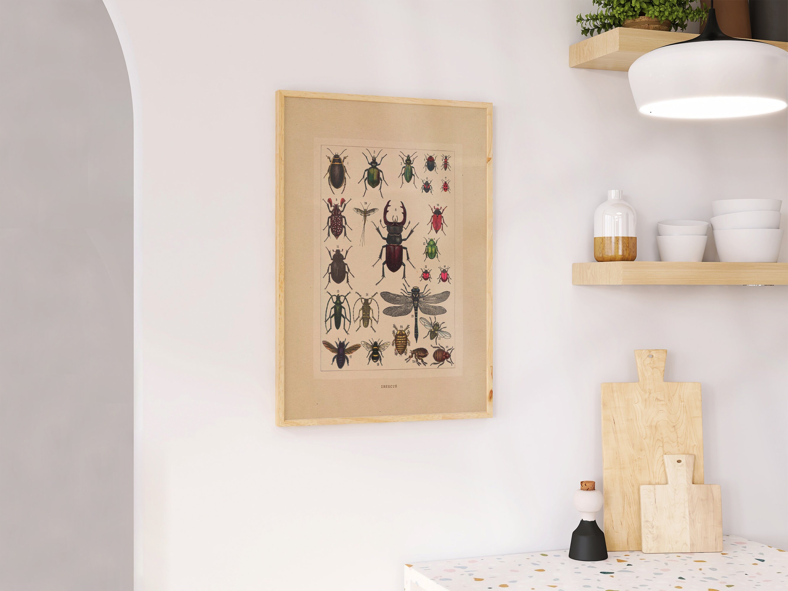 Vintage Insect Specimens Poster Printable Wall Art Nature Poster Print ...