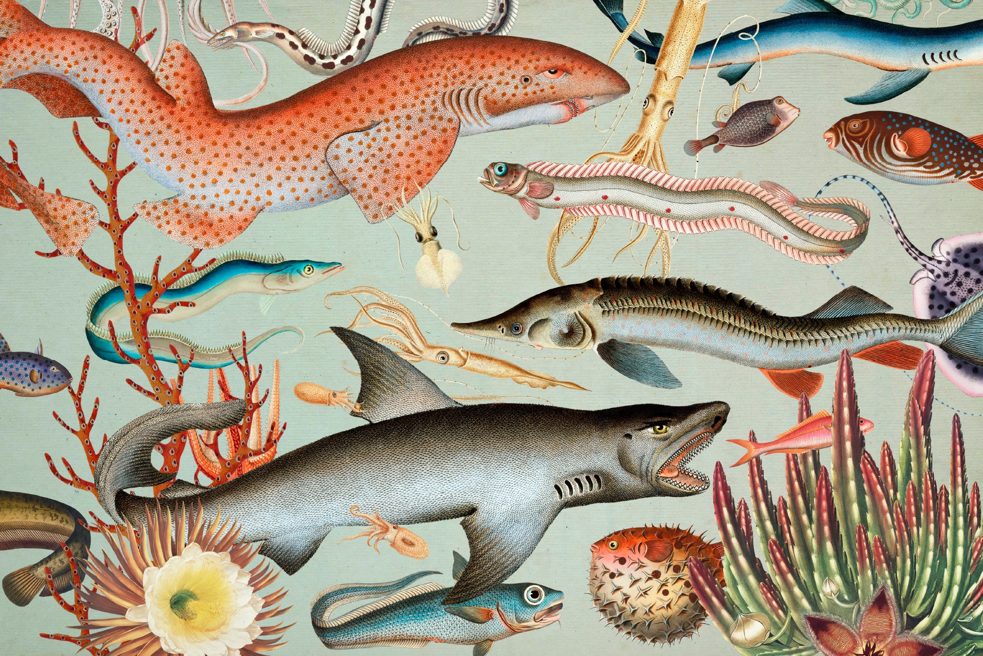 Vintage Collage Creator: the Natural World | Downloadable Botanical ...