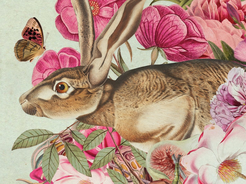 Flora and Fauna Art Print | Vintage Printable Horizontal Wall Art ...