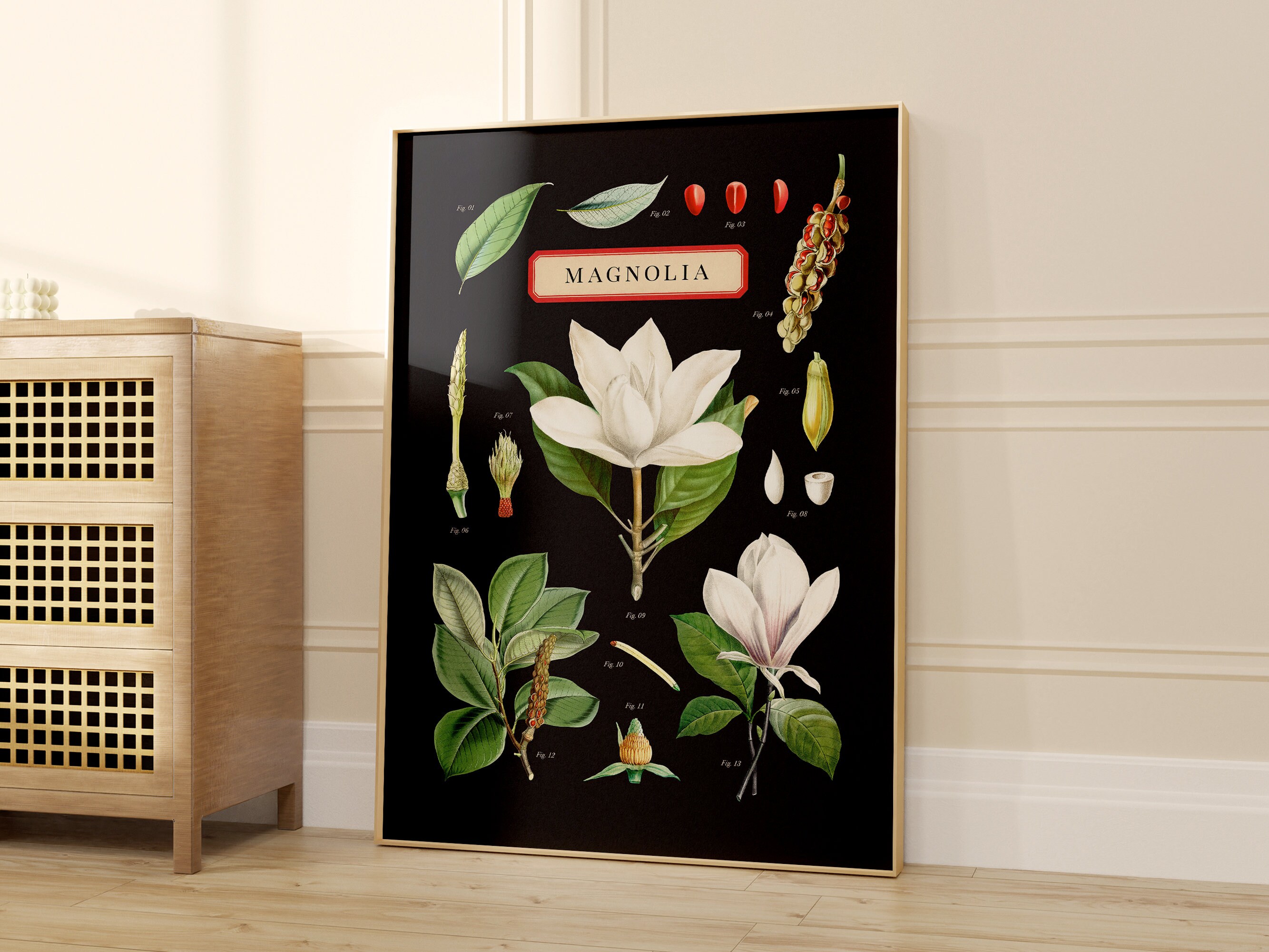 Vintage Magnolia Educational Chart | Printable Wall Art | Downloadable ...