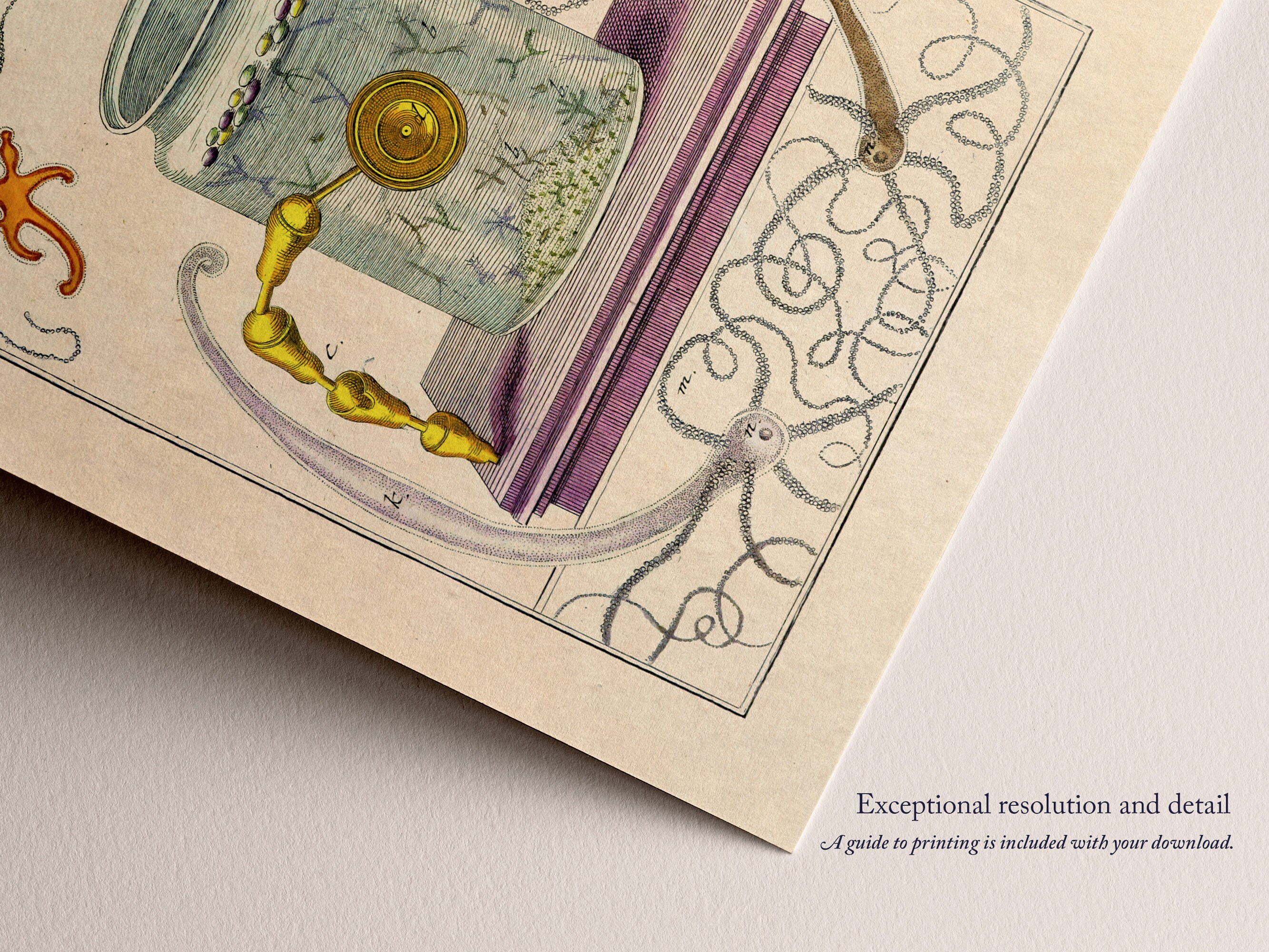 Antique Science Chart Gallery Wall Set of 2 Vintage Printable - Etsy