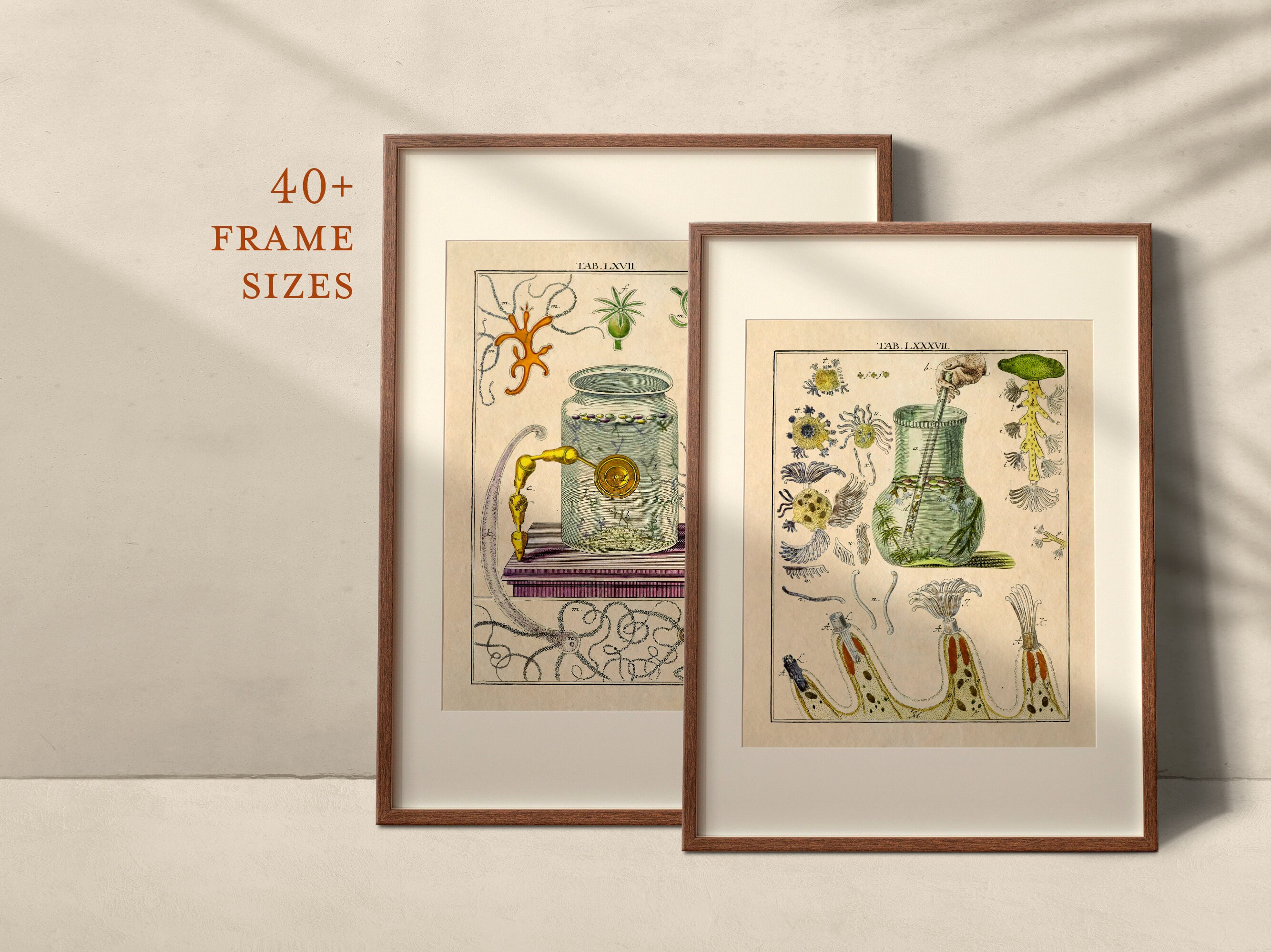 Antique Science Chart Gallery Wall Set of 2 Vintage Printable Dark ...
