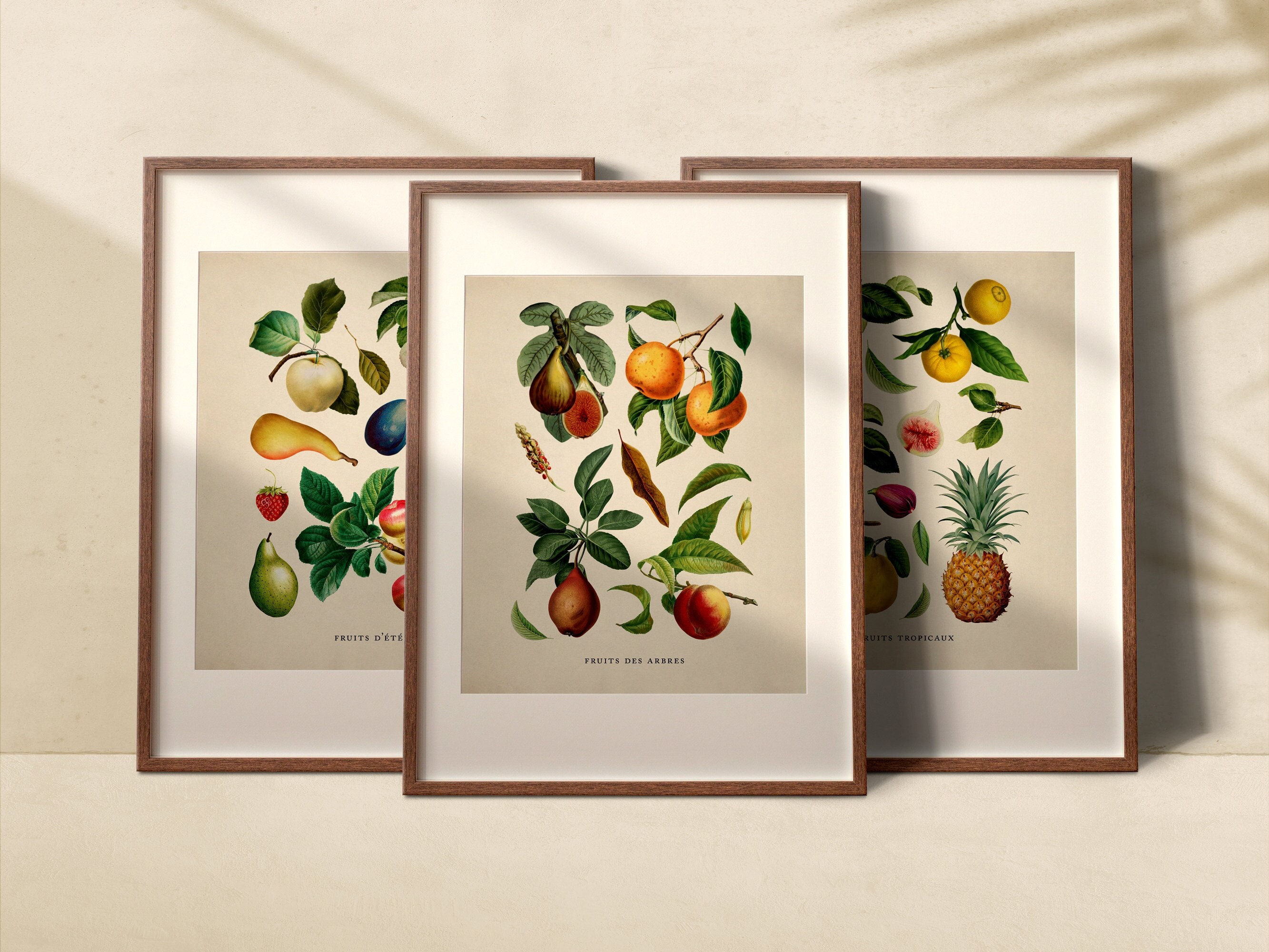 Vintage Fruit Posters Set of 3 Printable Gallery Wall Art - Etsy