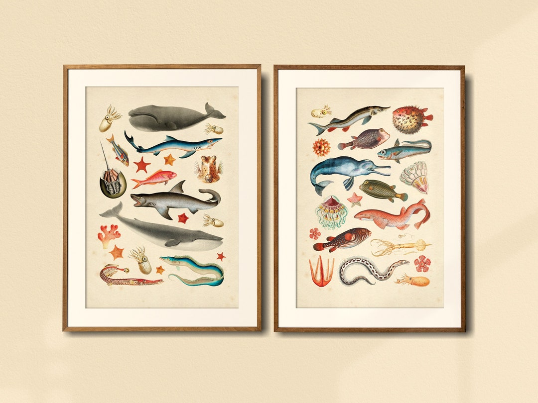 Sea Creatures Wall Art Set of 2 Vintage Printable Posters Instant ...