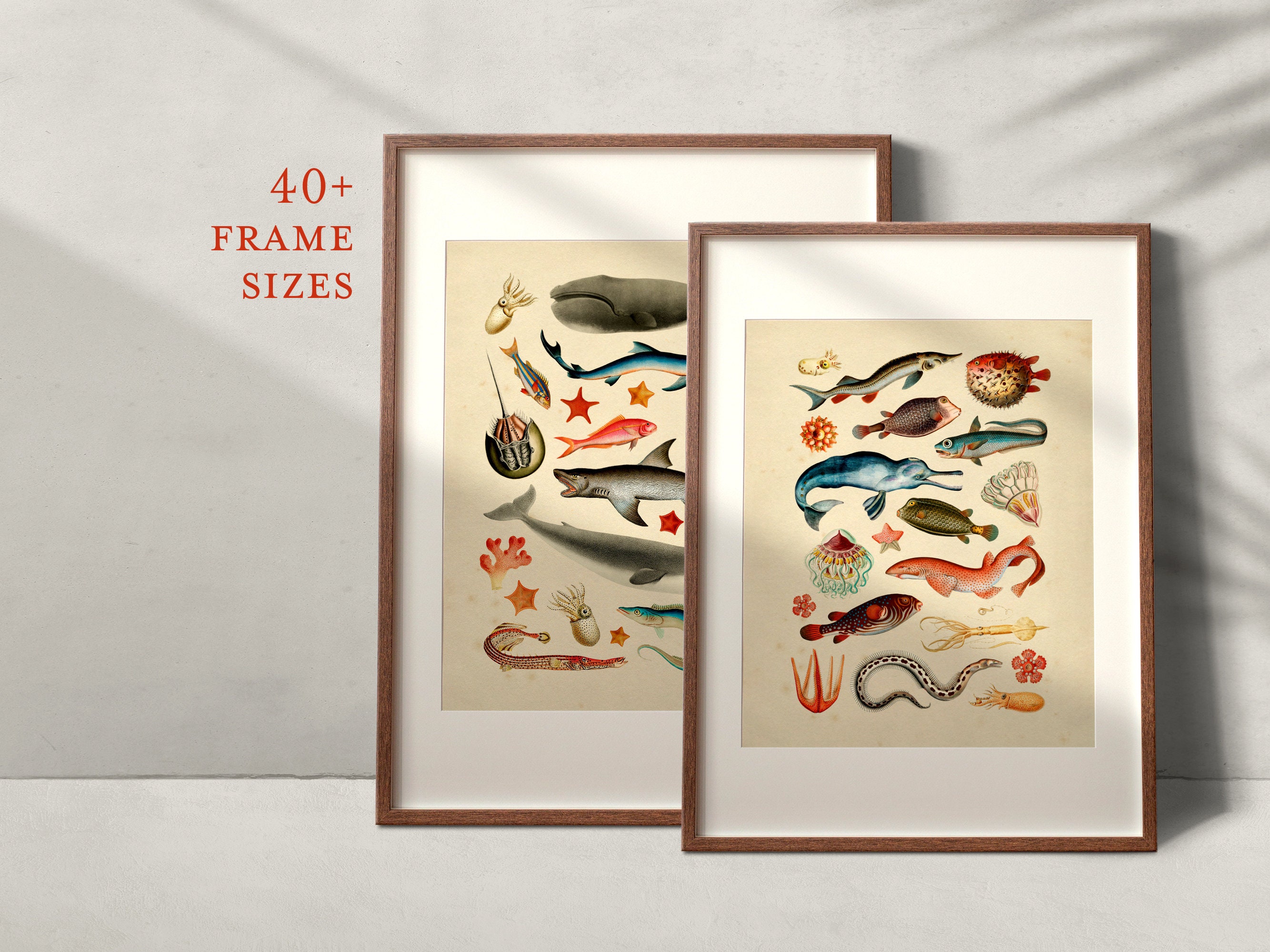 Sea Creatures Wall Art Set of 2 Vintage Printable Posters Instant ...