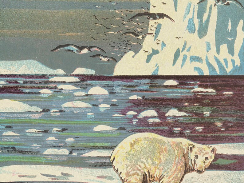 Moody Vintage Arctic Landscape Prints Set of 4 | Printable Gallery Wall ...