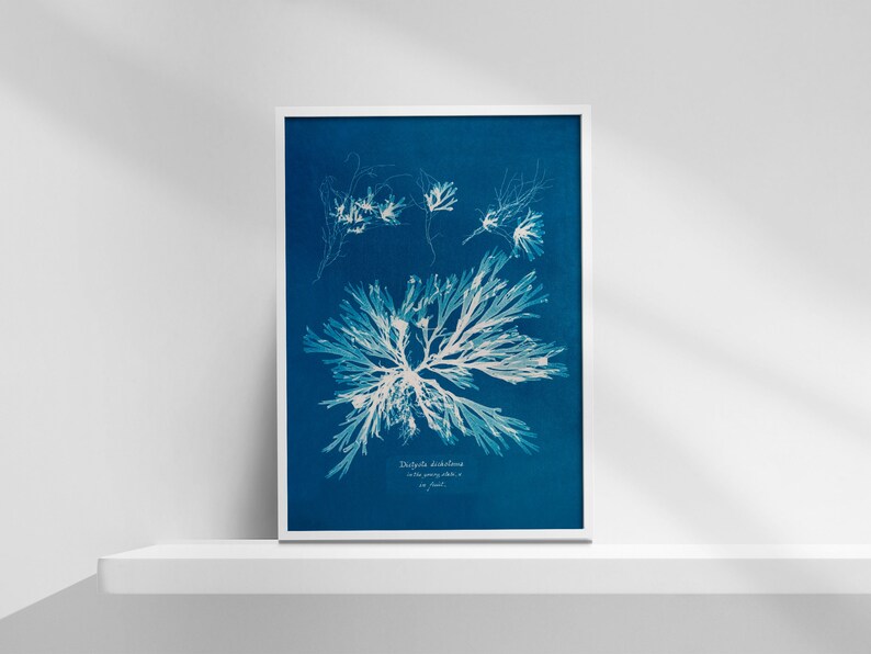 Vintage Cyanotype Photography Downloadable Print Blue Ocean Wall Art ...