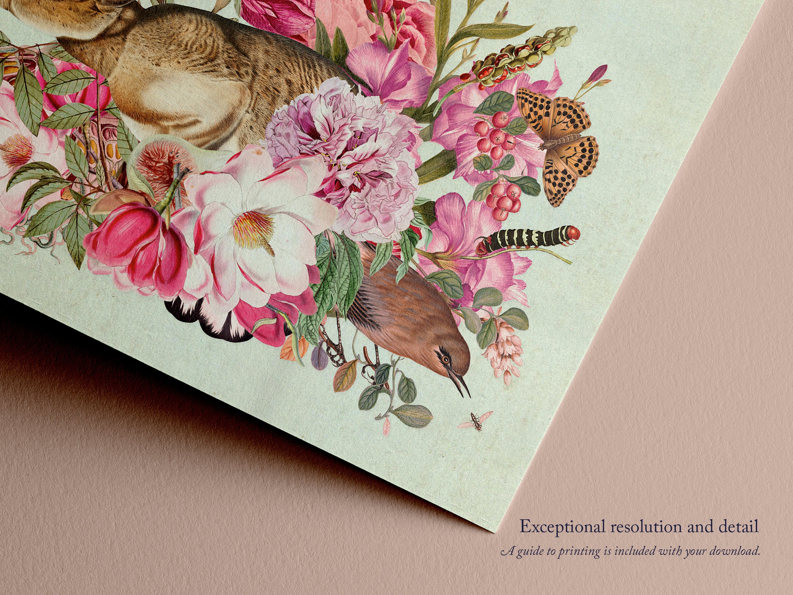 Flora and Fauna Art Print | Vintage Printable Horizontal Wall Art ...