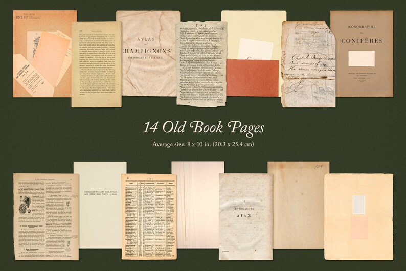 Printable Vintage Library Ephemera Pack Instant Download Dark Academia ...