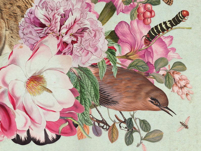 Flora and Fauna Art Print | Vintage Printable Horizontal Wall Art ...