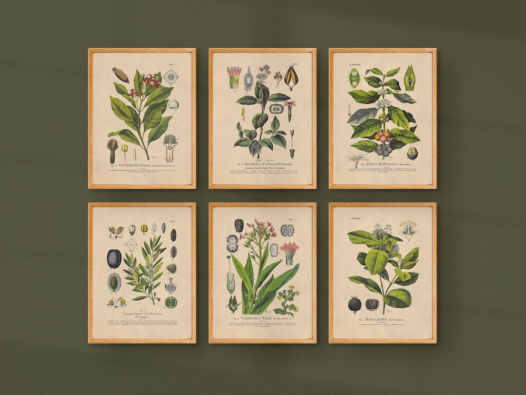 Dark Academia Botanical Prints | Set of 6 | Printable Gallery Wall Art ...