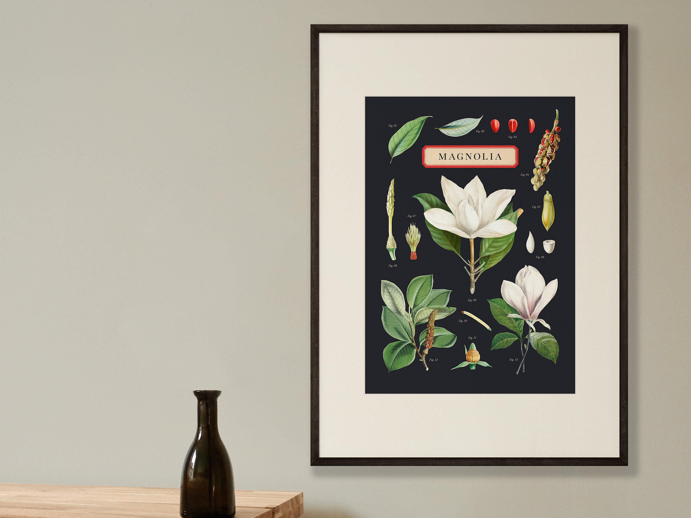 Vintage Magnolia Educational Chart | Printable Wall Art | Downloadable ...