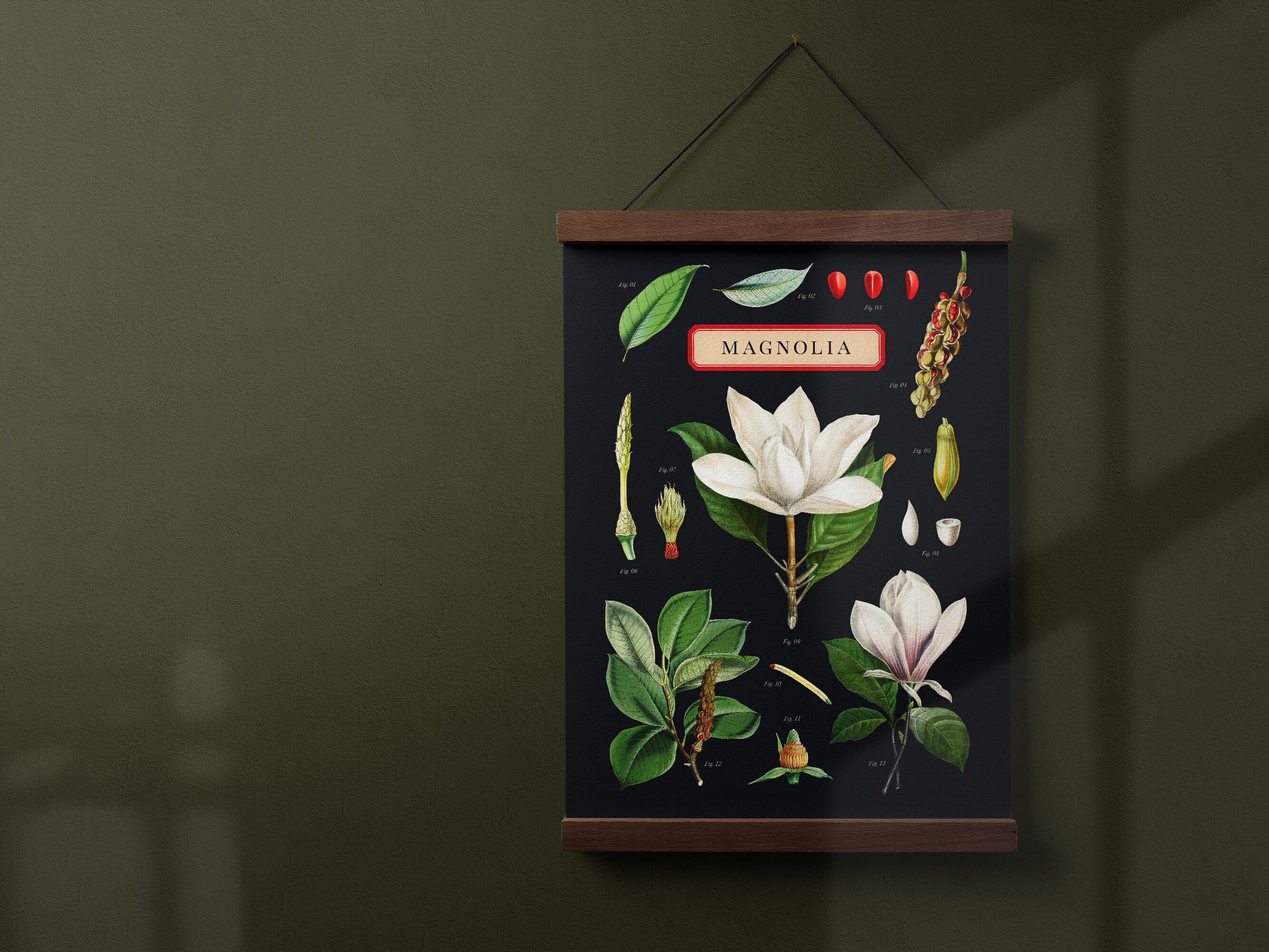 Vintage Magnolia Educational Chart Printable Wall Art Downloadable ...