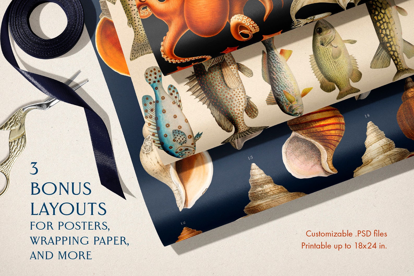 60 Vintage Marine Creatures Clipart | Instant Download Illustrations ...