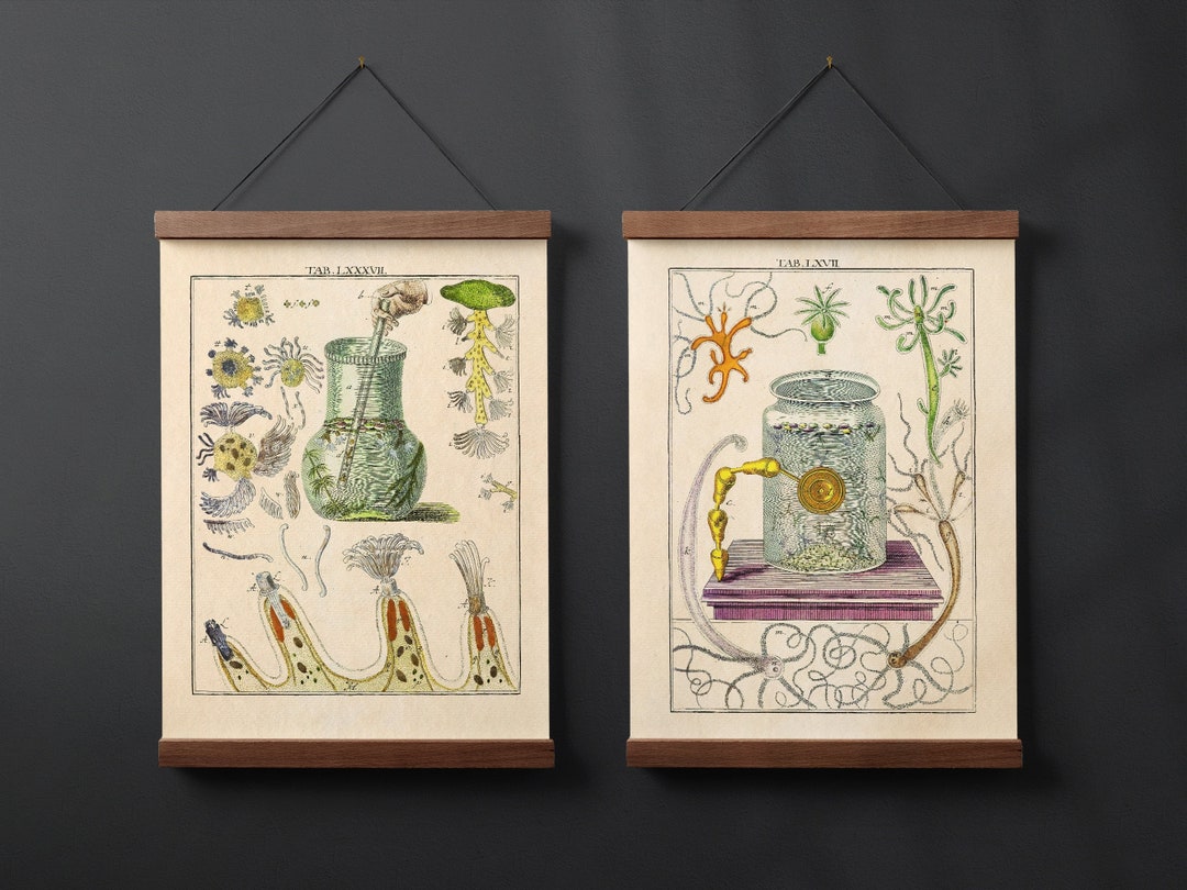 Antique Science Chart Gallery Wall Set of 2 Vintage Printable Dark ...