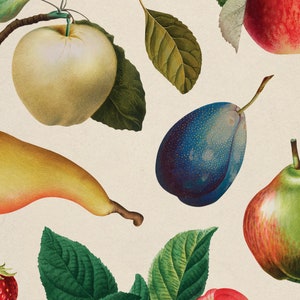 Vintage Fruit Posters Set of 3 | Printable Gallery Wall Art | Colorful ...