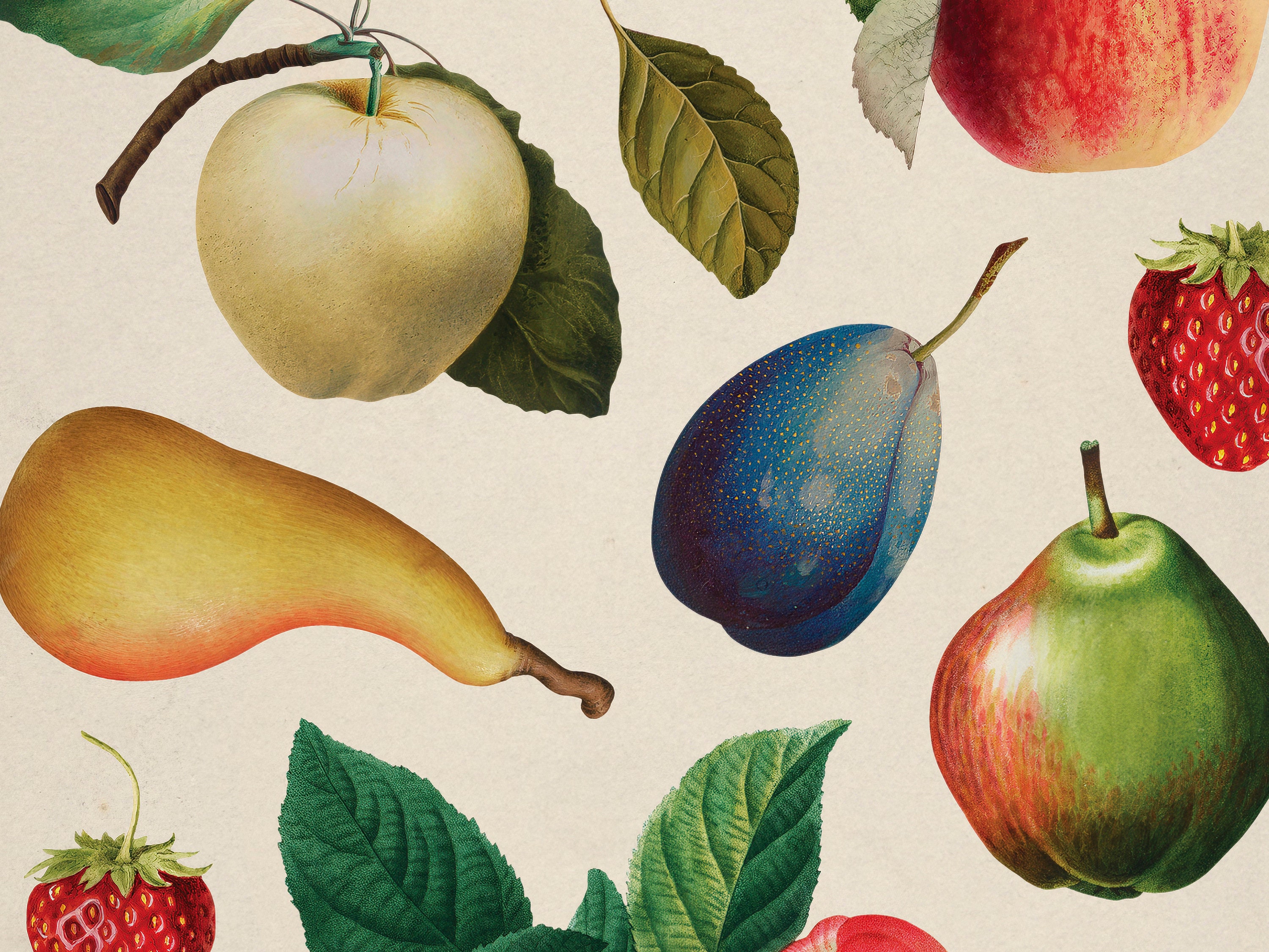 Vintage Fruit Posters Set of 3 Printable Gallery Wall Art - Etsy