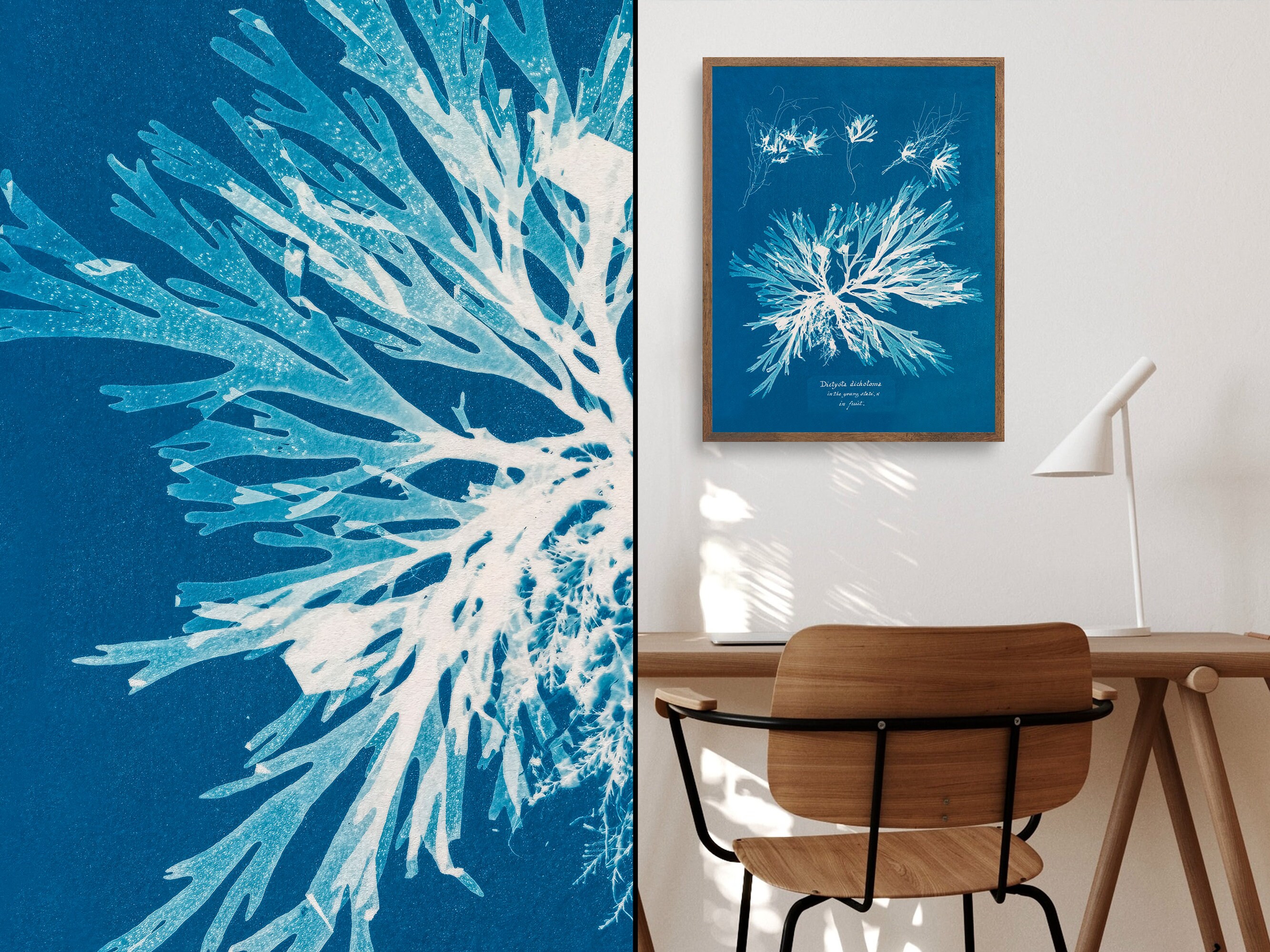 Vintage Cyanotype Photography Downloadable Print Blue Ocean Wall Art ...