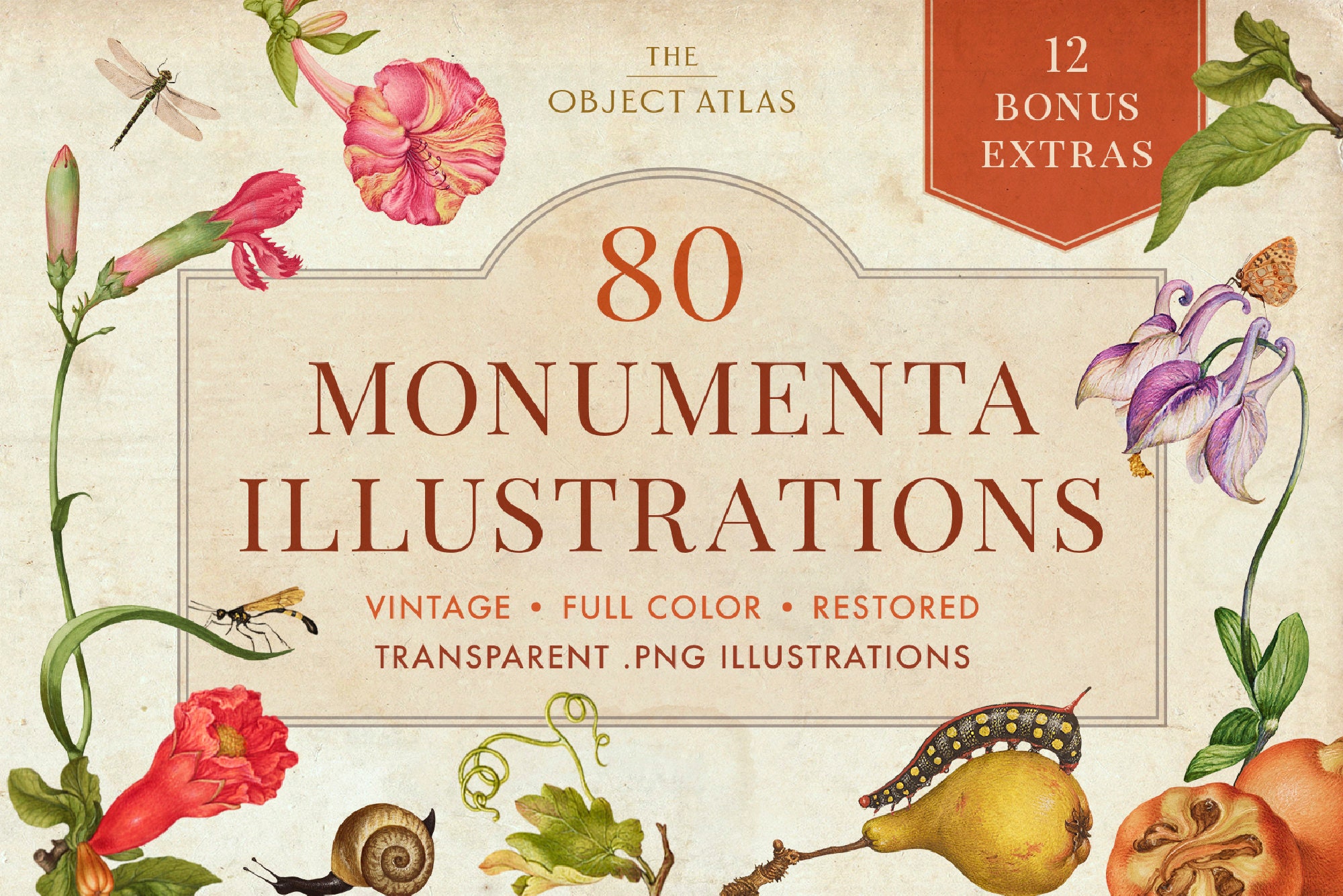 80 Renaissance Clipart Illustrations | “monumenta” Vintage Printable ...