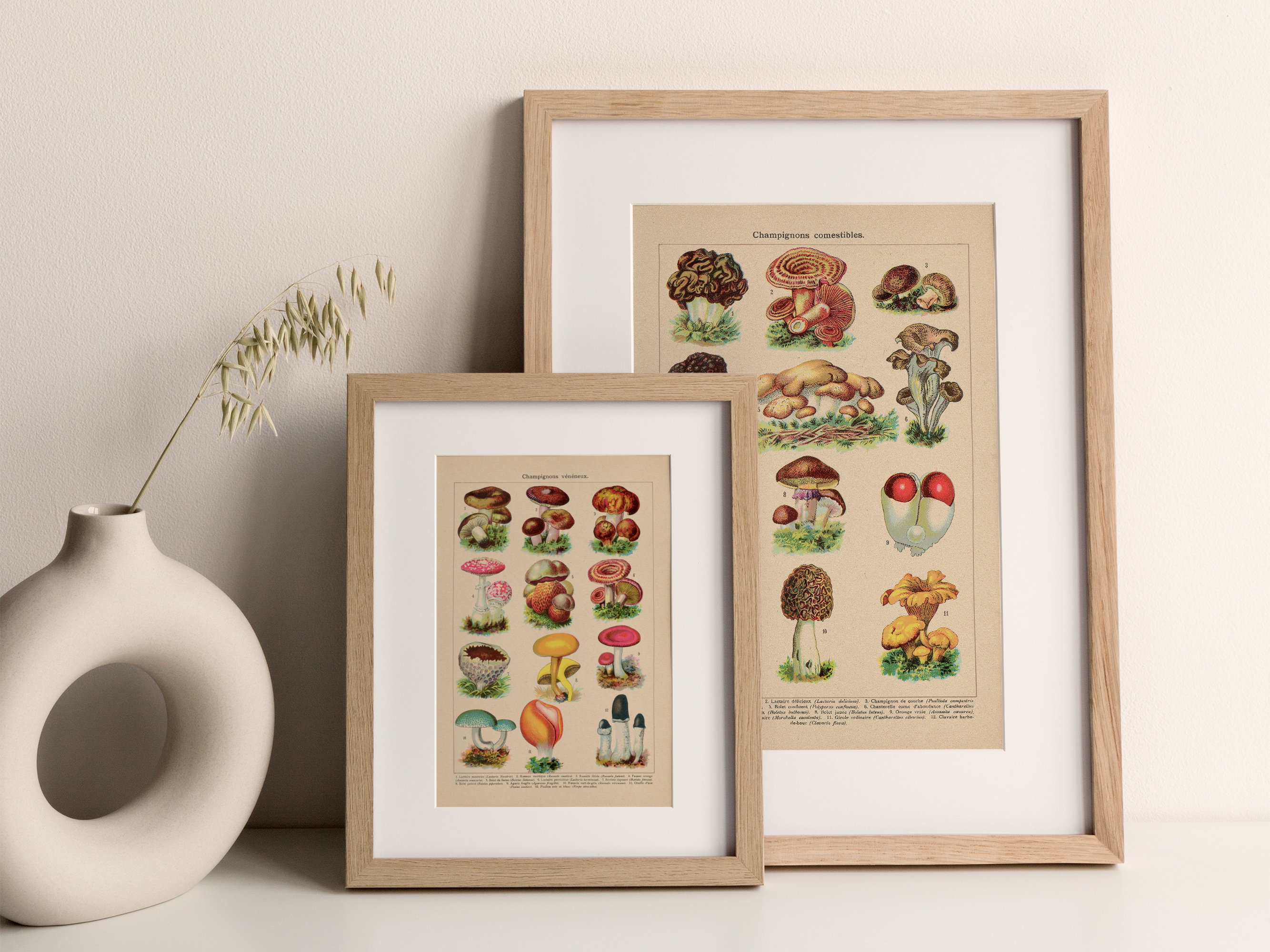 Vintage French Mushroom Prints Set of 2 Printable Gallery Wall Art ...