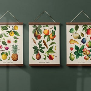 Vintage Fruit Posters Set of 3 | Printable Gallery Wall Art | Colorful ...