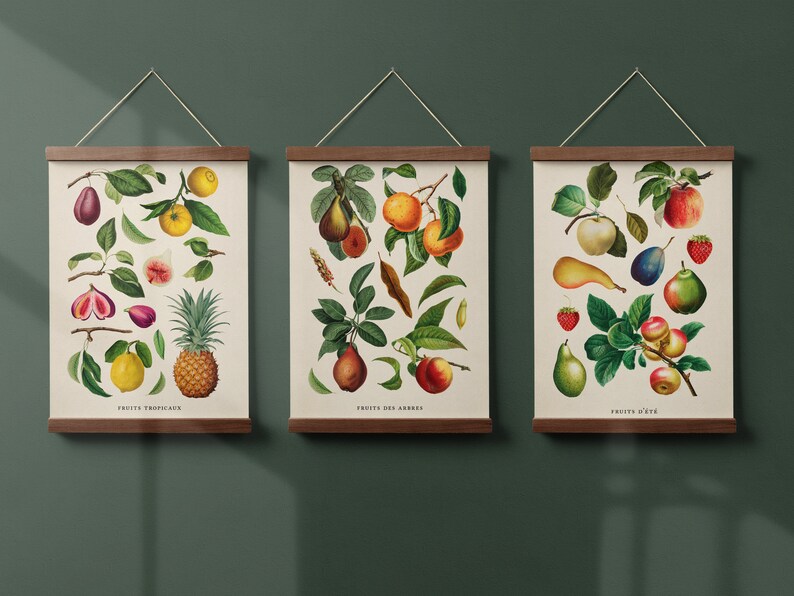 Vintage Fruit Posters Set of 3 Printable Gallery Wall Art - Etsy