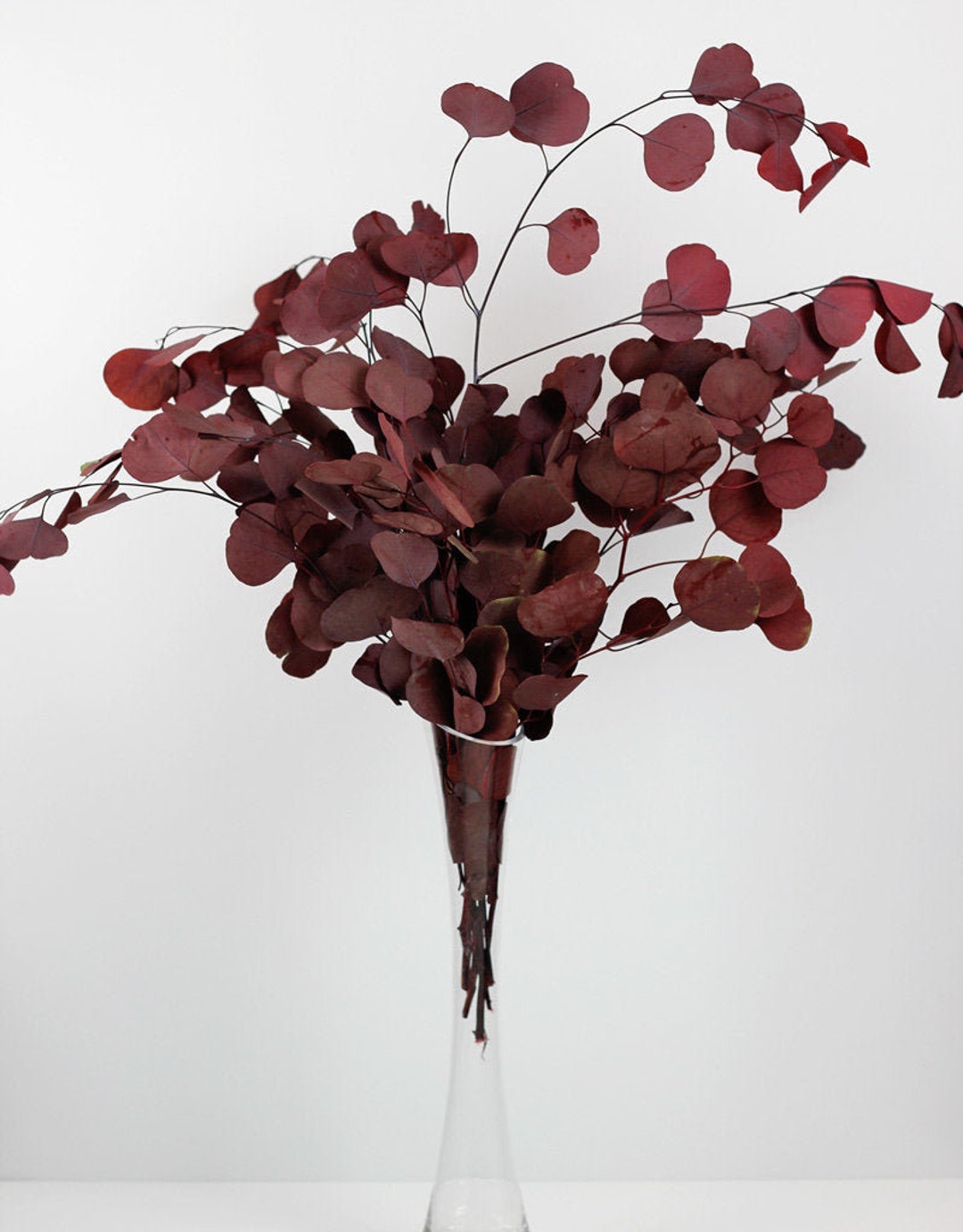Preserved Eucalyptus Populus Red Bunch, 70 Cm - Etsy