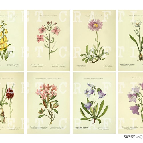 Vintage Junk Journal Ephemera Vintage Printable Ephemera - Etsy