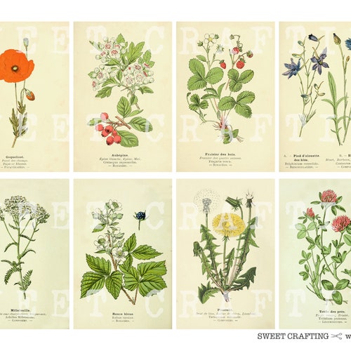 Vintage Junk Journal Ephemera Vintage Printable Ephemera - Etsy