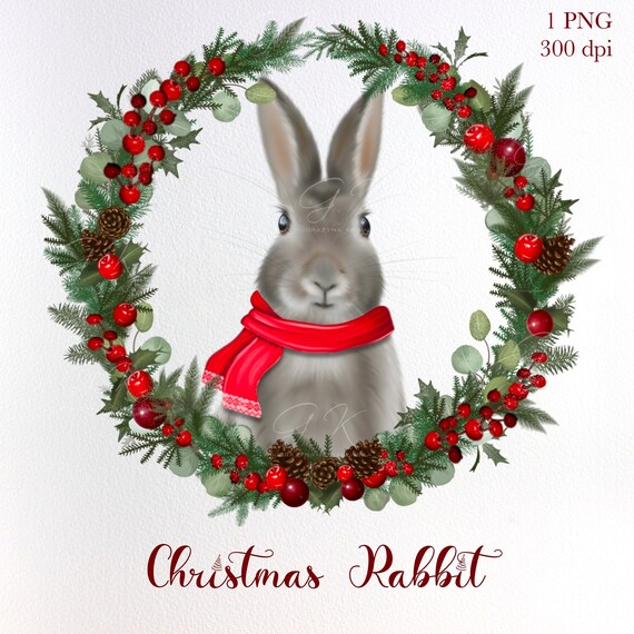 Christmas Rabbit PNG Winter Rabbit Clipart Bunny Images - Etsy
