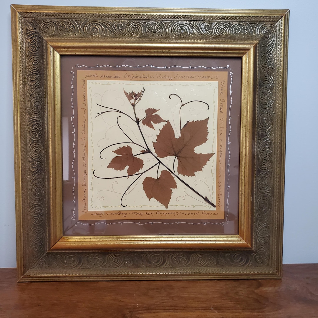 VTG Framed Pressed Grape Leaf Wall Art by Kerry O’gorman 2003 Autumnal ...