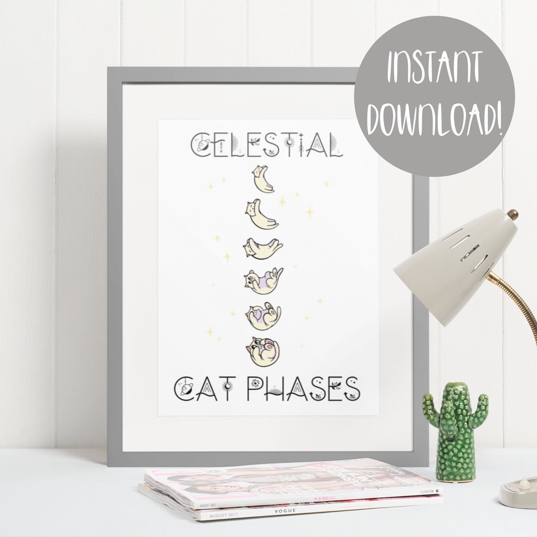 Celestial Cat Phases, Cat Lovers, Moon Cats, Moon Phases, Cat Dad Mom ...