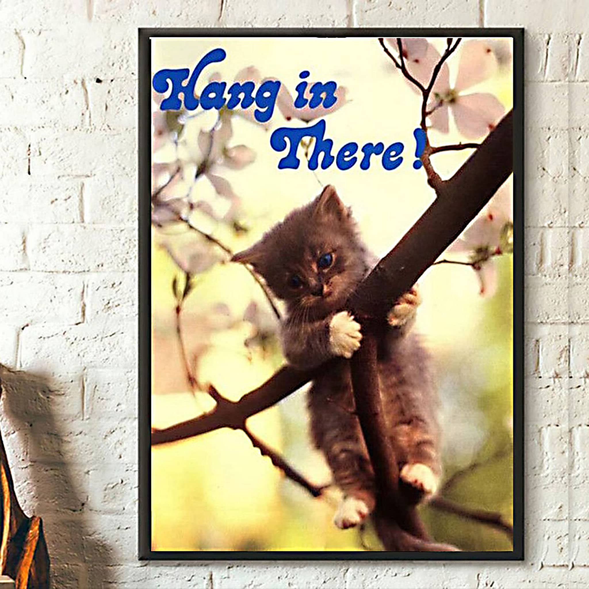 Hang in There Ideas Hang in There Cat, Hanging, Cat Posters, Unique ...