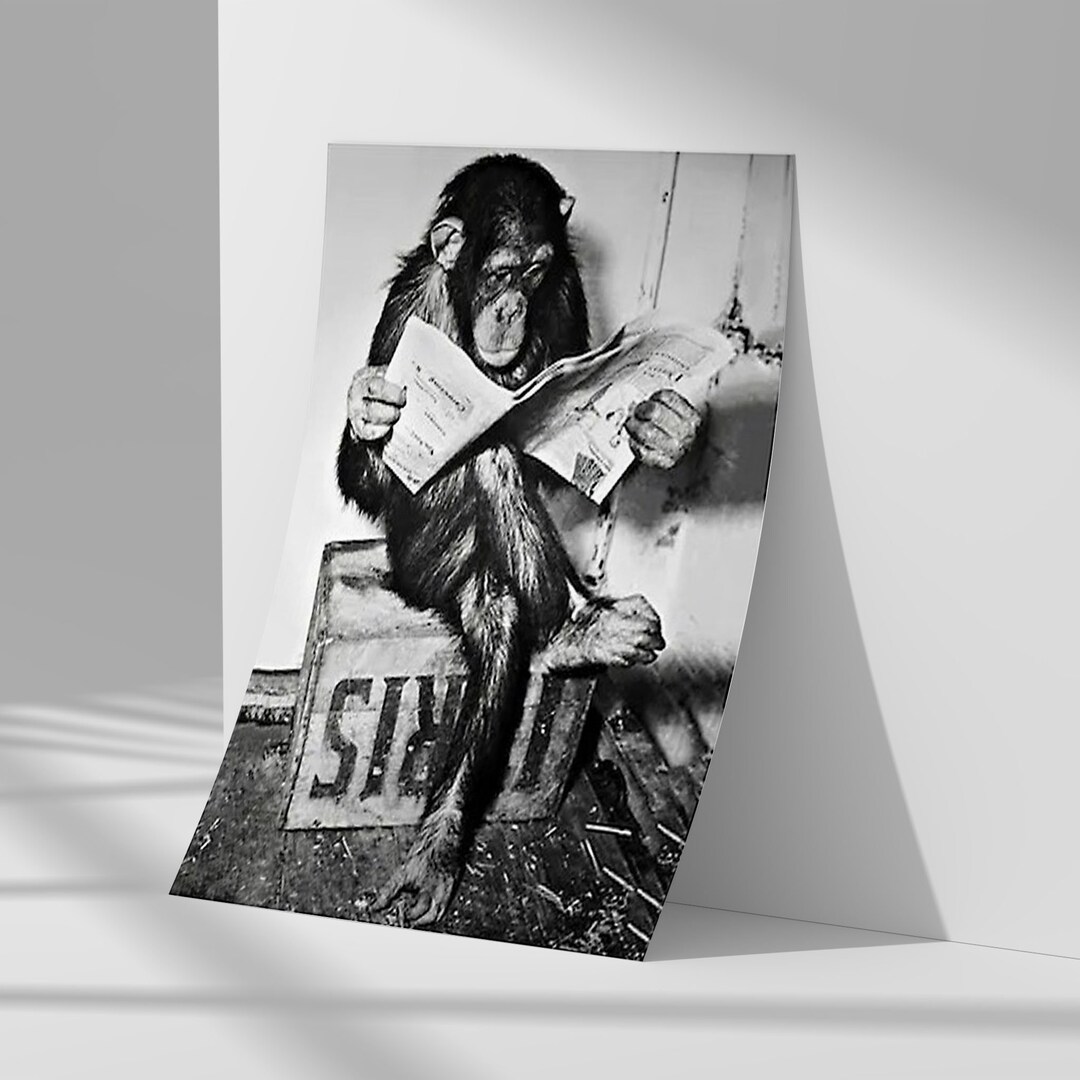 Chimpanzee Reading Newspaper Print, Monkey Business, Black and White ...