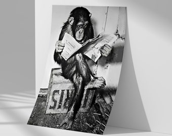 Chimpanzee Reading Newspaper Print, Monkey Business, Funny Print, Black ...