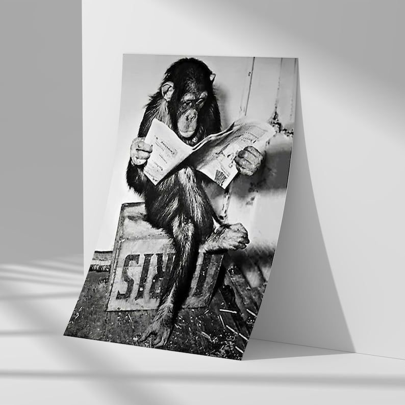 Chimpanzee Reading Newspaper Print Monkey Business Black and - Etsy