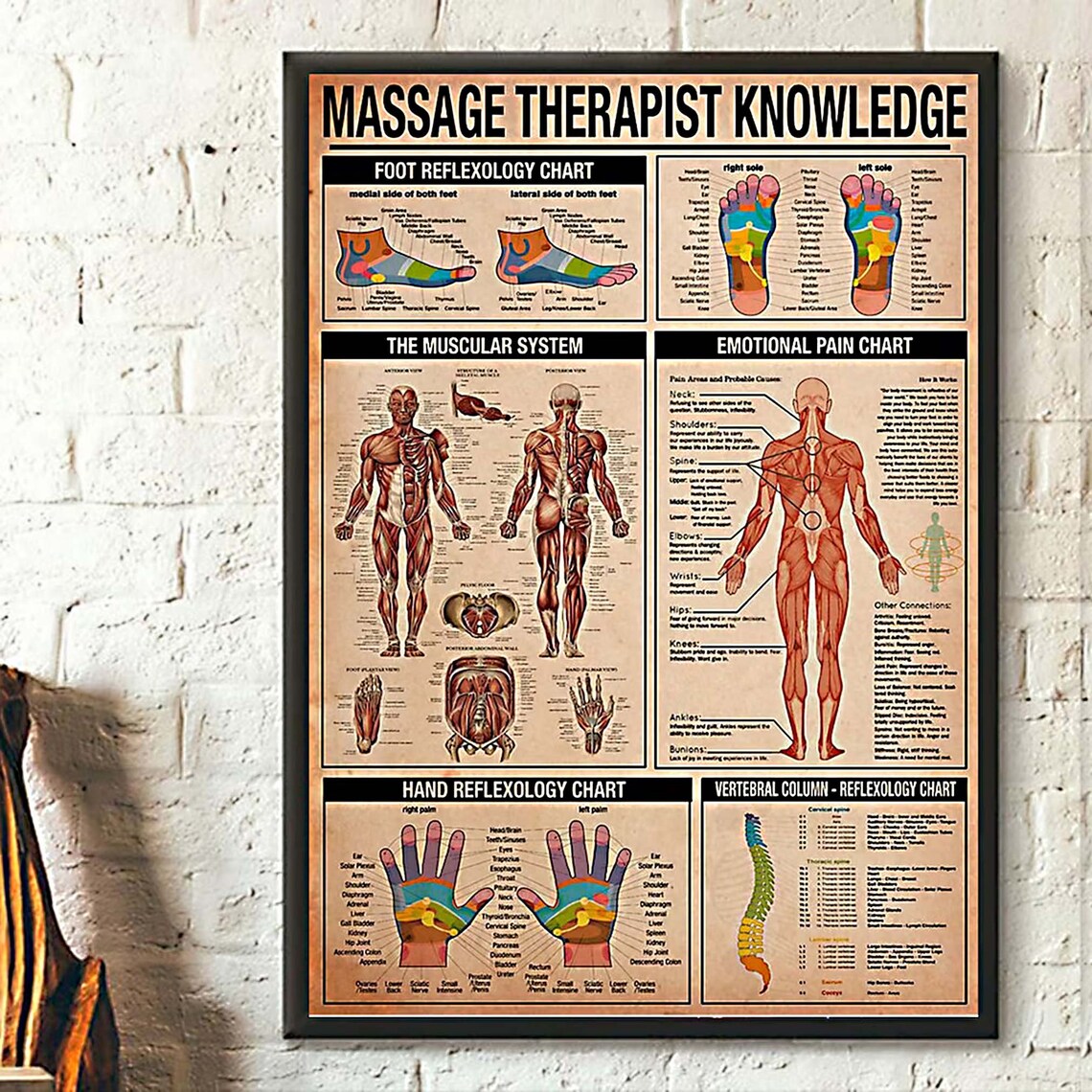 Massage Therapist Knowledge Poster Home Decor - Etsy