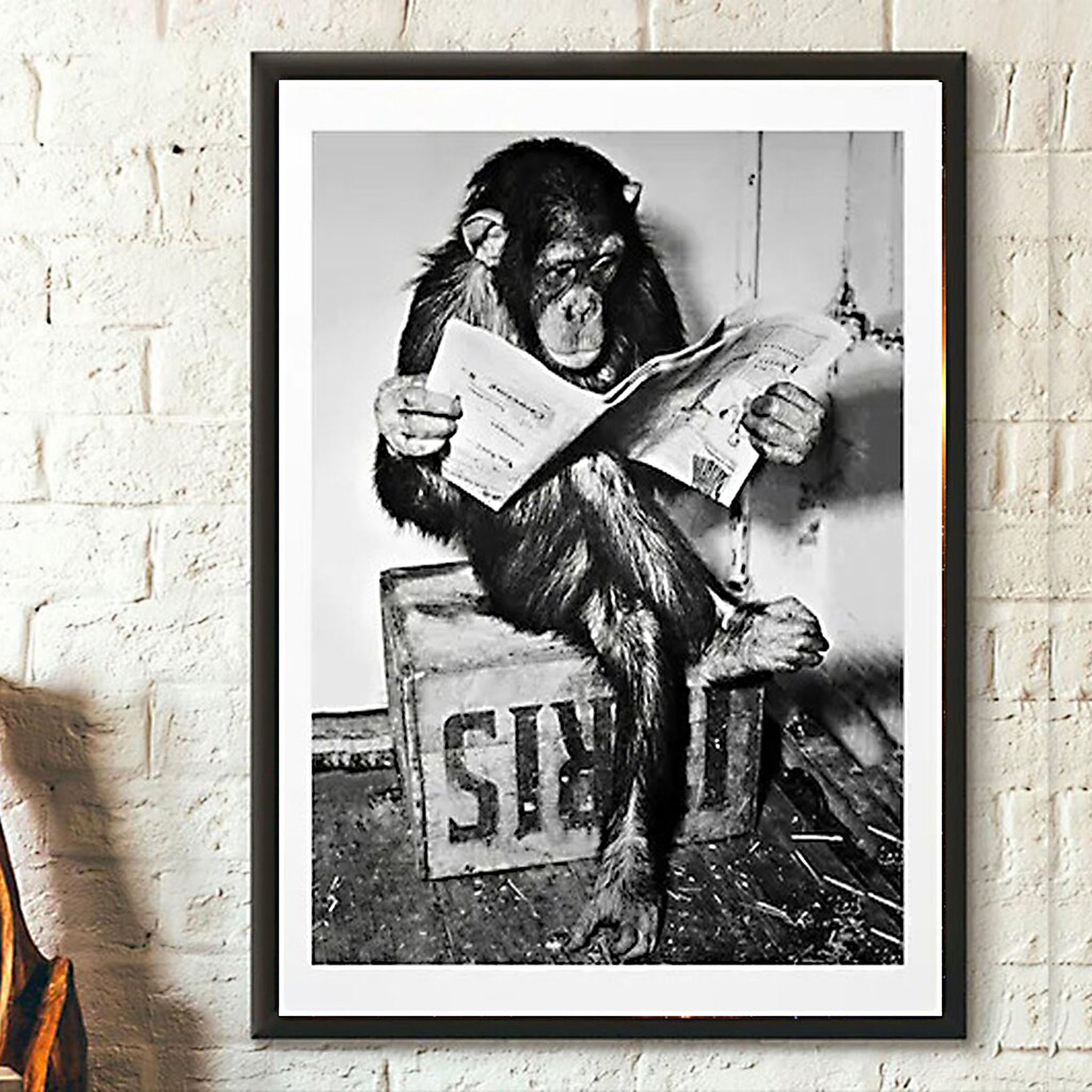 Chimpanzee Reading Newspaper Print Monkey Business Black and - Etsy