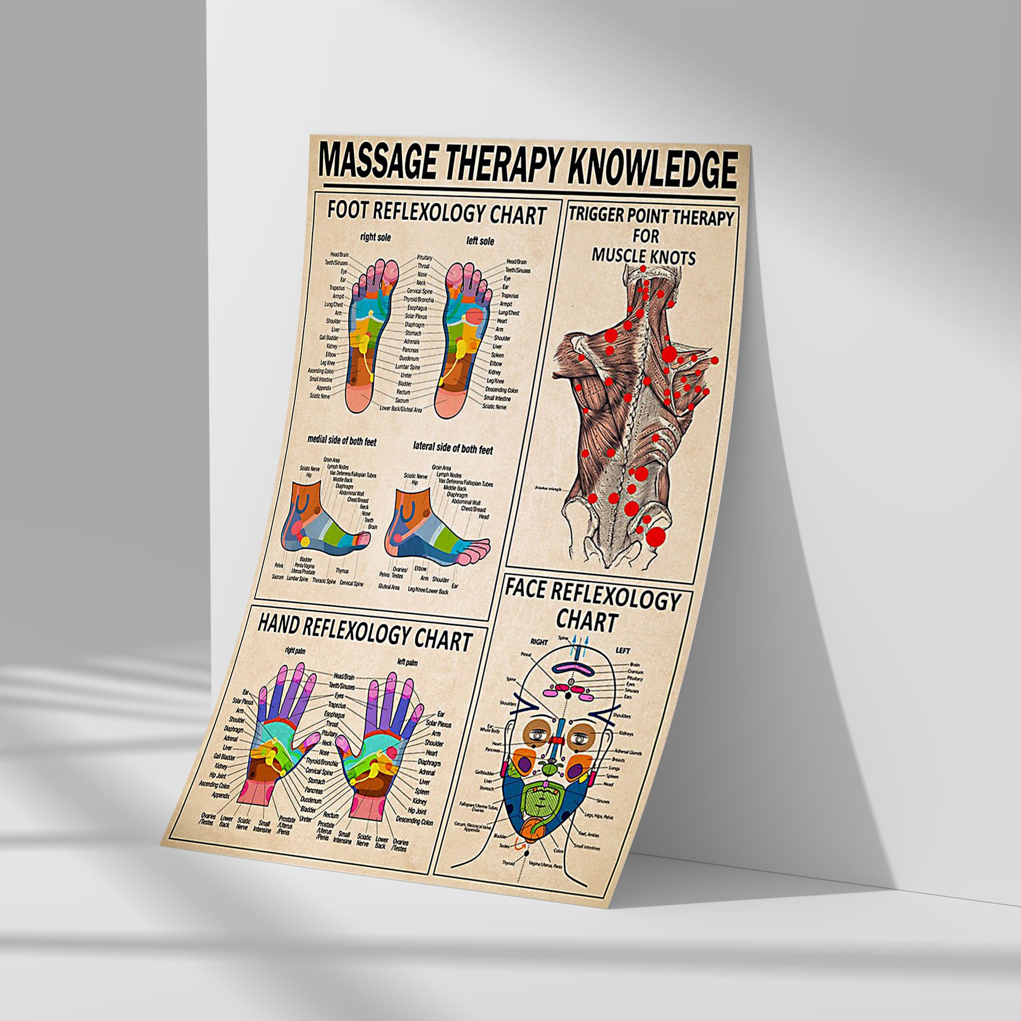Buy Massage Therapist Knowledge Poster, Massage Therapy Foot Reflexology Chart Trigger Point ...