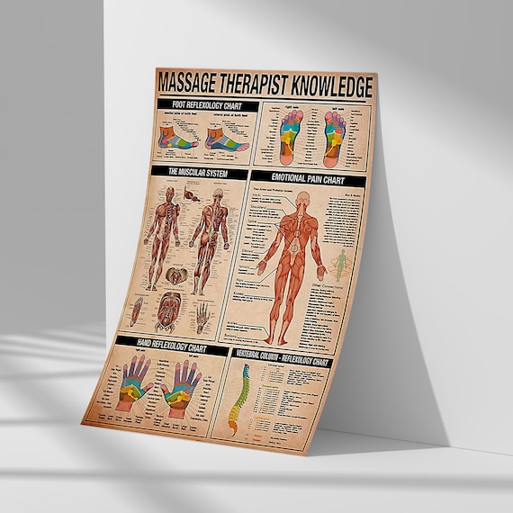 Massage Therapist Knowledge Foot Reflexology Chart The 3 Massages For