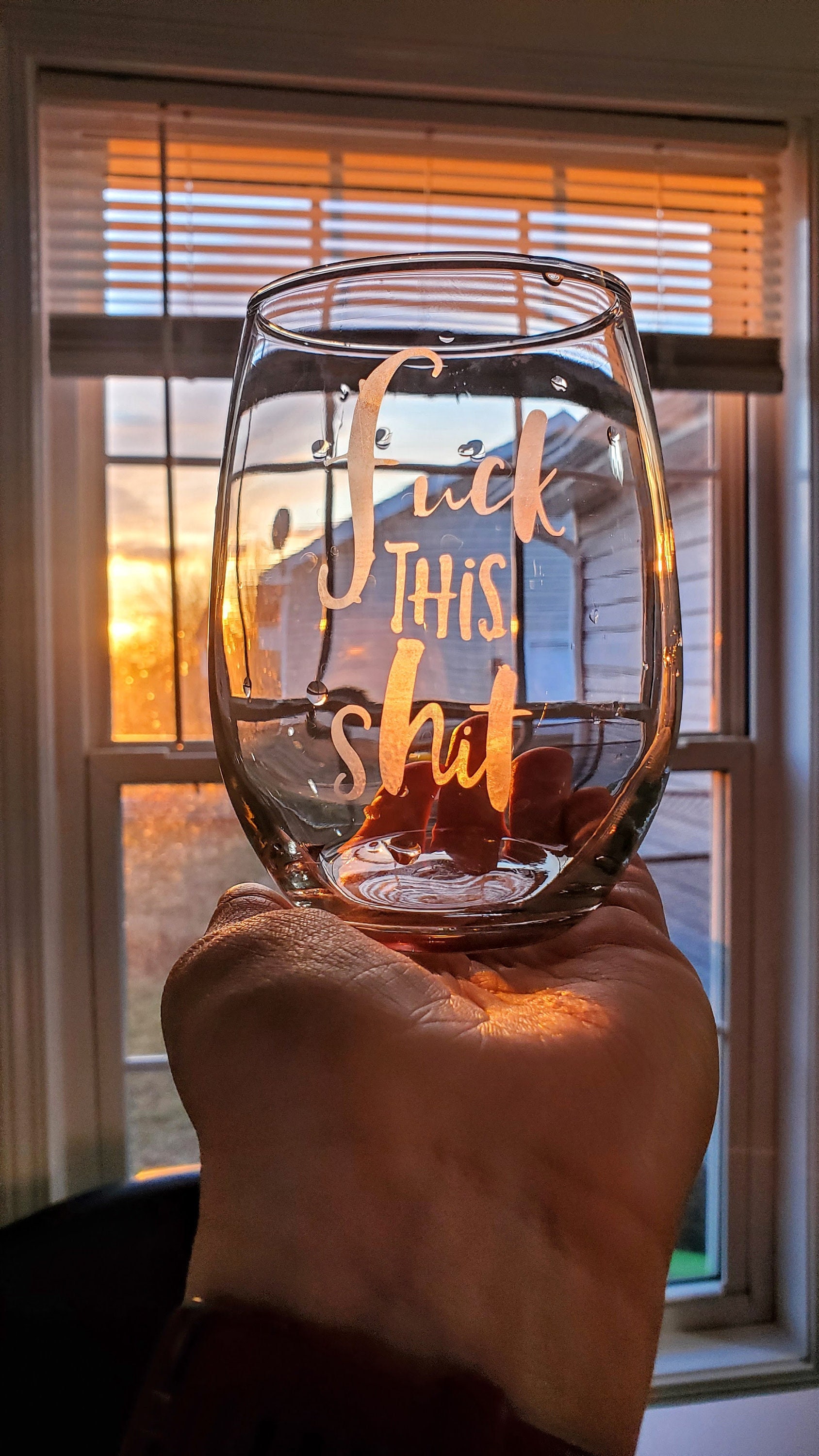 Etched Stemless Wine Glasses Personalized Custom Funny Subtle Fuck This ...