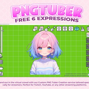 Premade Pngtuber Model – Cute Girl With Pink and Blue Hair - Etsy