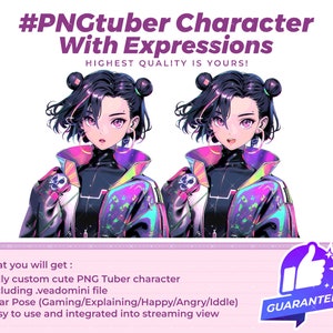 PNG Tuber | PNG Tuber Cyberpunk Avatar Collection for Streamers | 2 ...