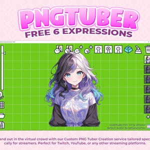 PNG Tuber | Edgy Bicolor Gothic PNG Tuber Avatar | Get 6 Poses | Cute ...