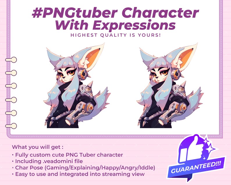PNG Tuber, Character Design, Streamer Virtual, Twitch Personality ...