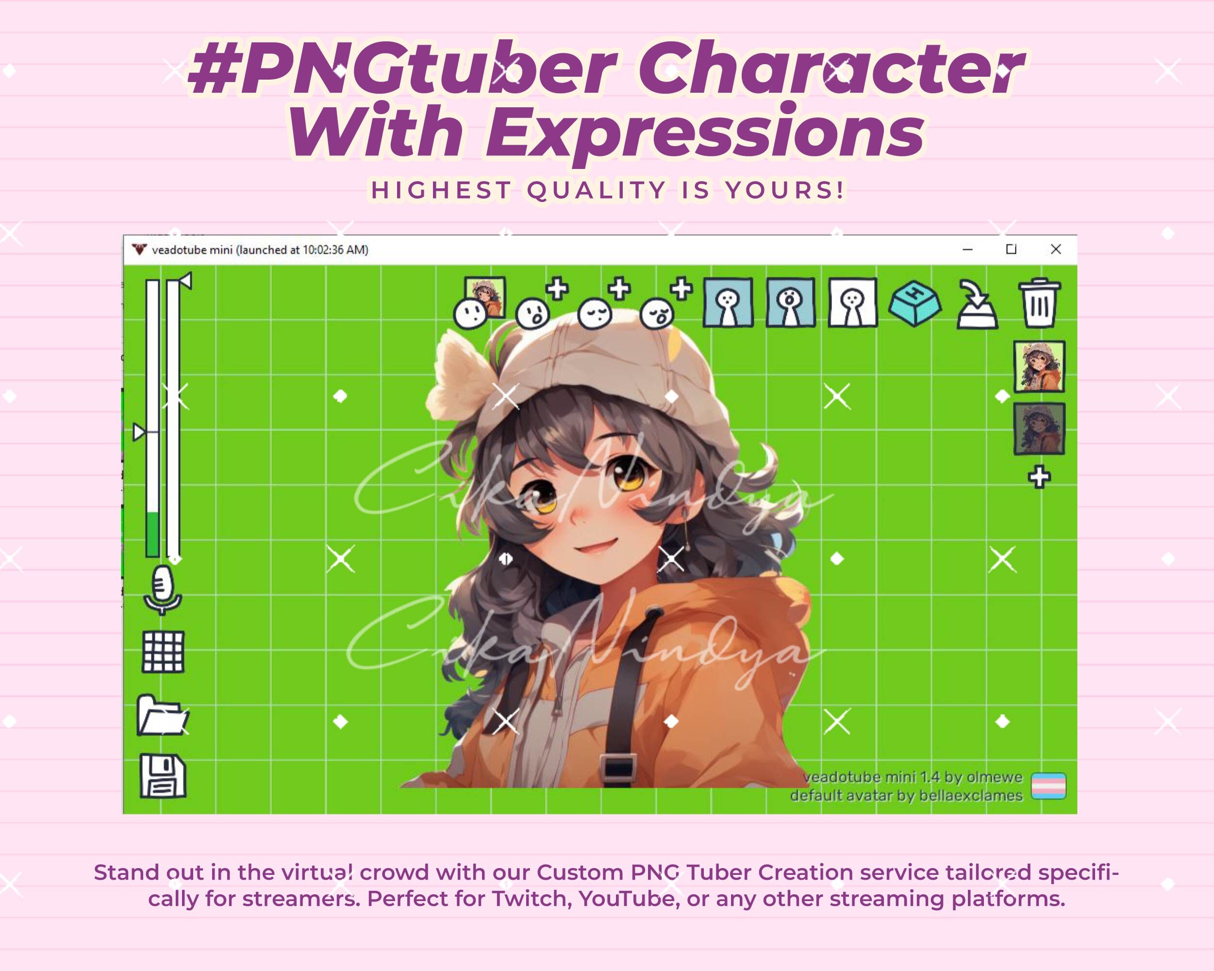 Stream in Style With Unique PNG Tuber for Streamer PNG Tuber, Gif ...