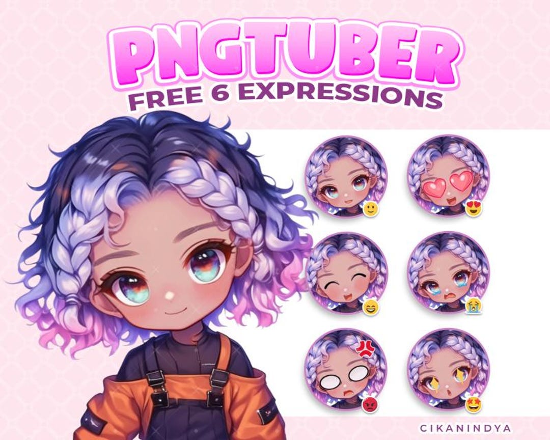 Pngtuber Custom Chibi – Colorful Braided Hair Style - Etsy