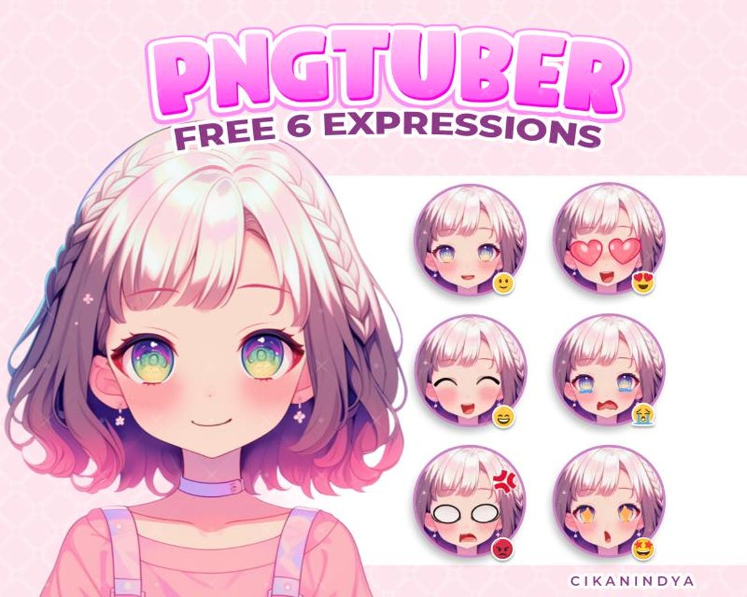 Chibi Pngtuber Avatar: Braided Hair, Pink Gradient Highlights - Etsy