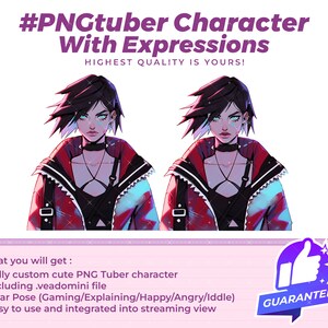 Pngtuber Edgy Cyberpunk Character PNG Tuber for Streamers You'll Get 2 ...